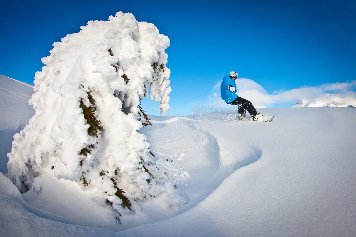 Snowboard Courses - MINT Snowboarding