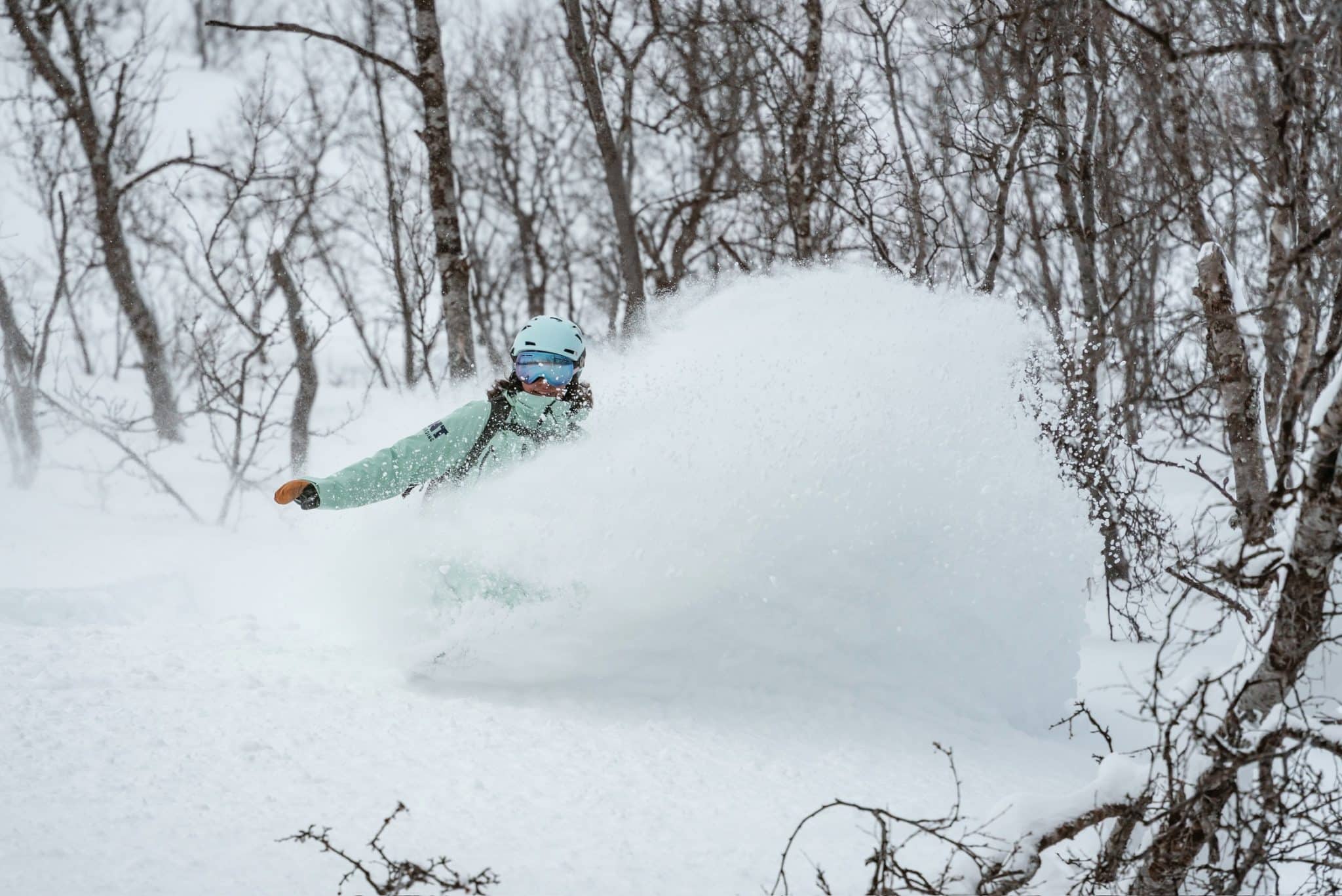 Backcountry and Splitboard Camps, Courses & Guiding - MINT Snowboarding